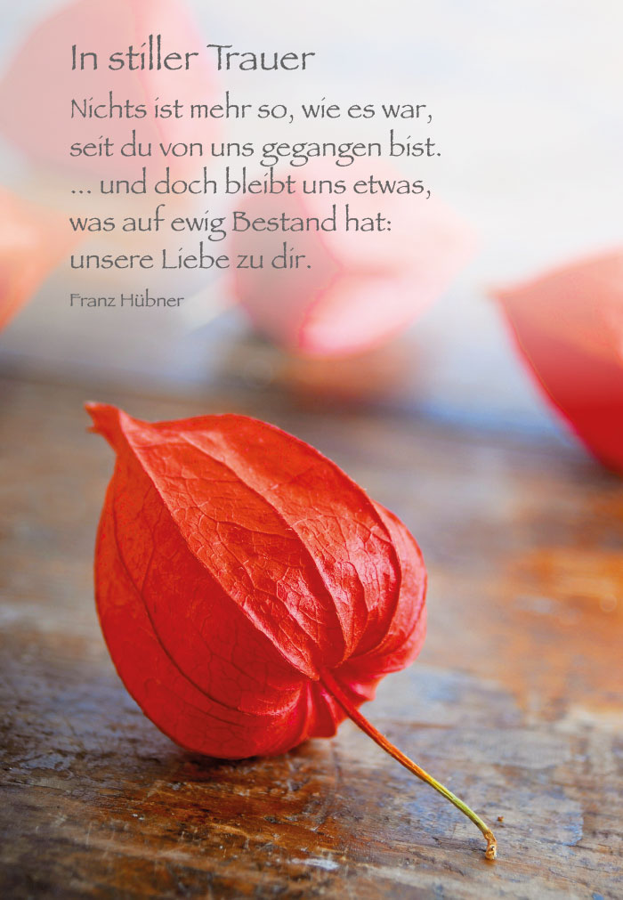 Elegantes Nach Blutpatch Ist Nichts Mehr Wie Es War Bilder